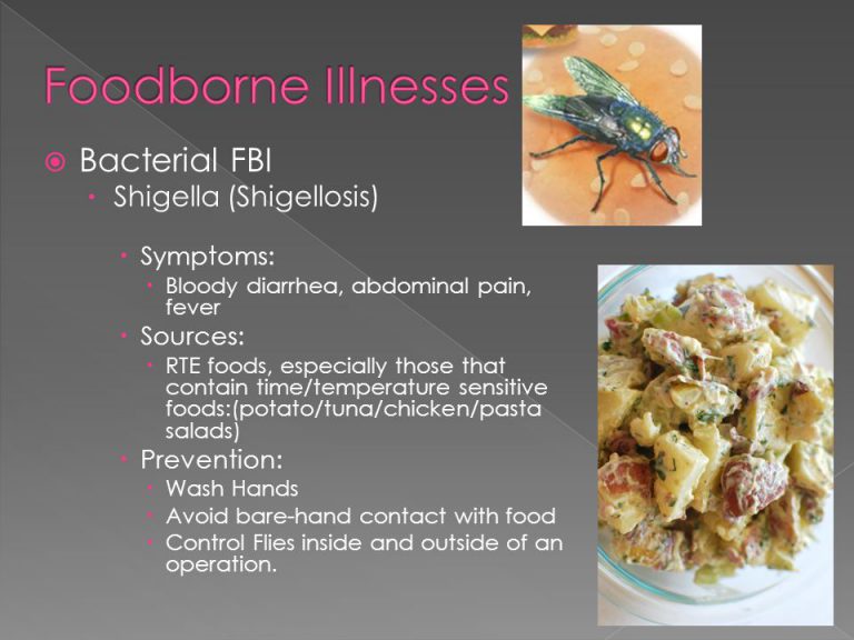 shigella potato salad